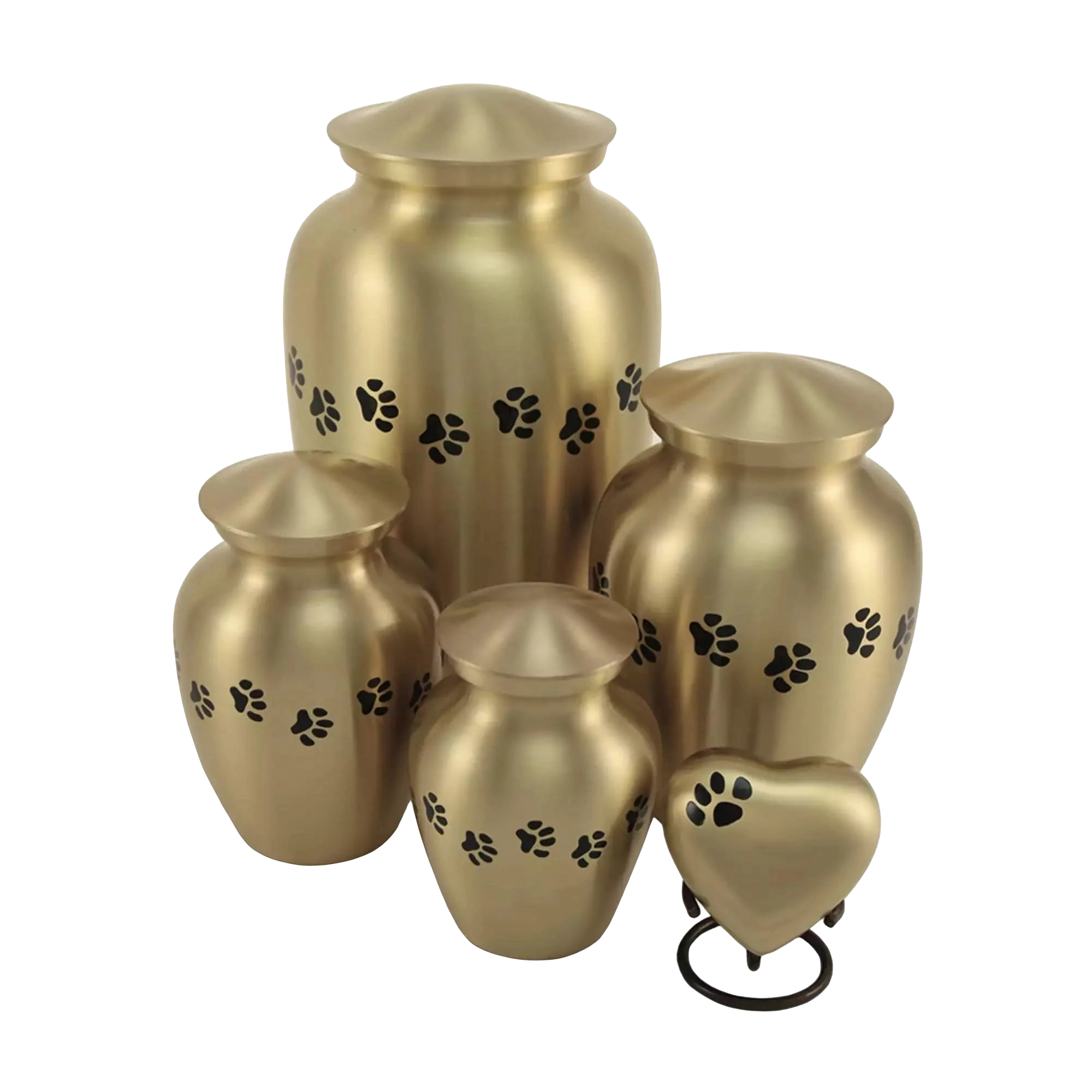Classic Paws Brass Pet Urn – Titan Casket | Pet