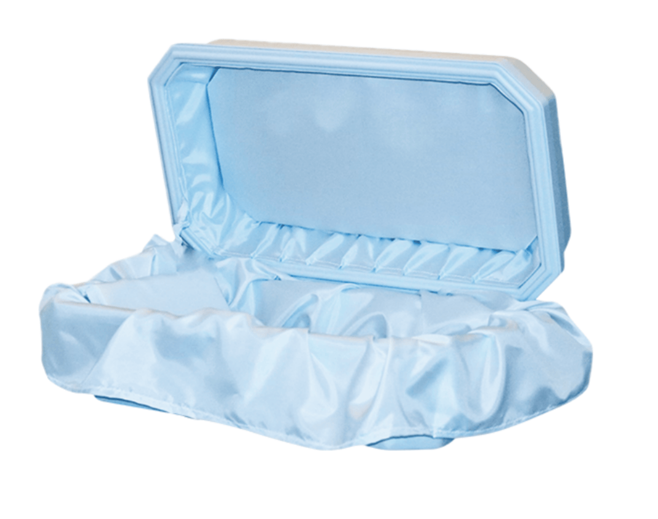 Only $299- Blue Pet Casket With Blue Interiors for your cat and dog ...